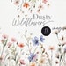 Watercolor Floral Clipart, Dusty Wild Floral, Wild Flowers Borders ...