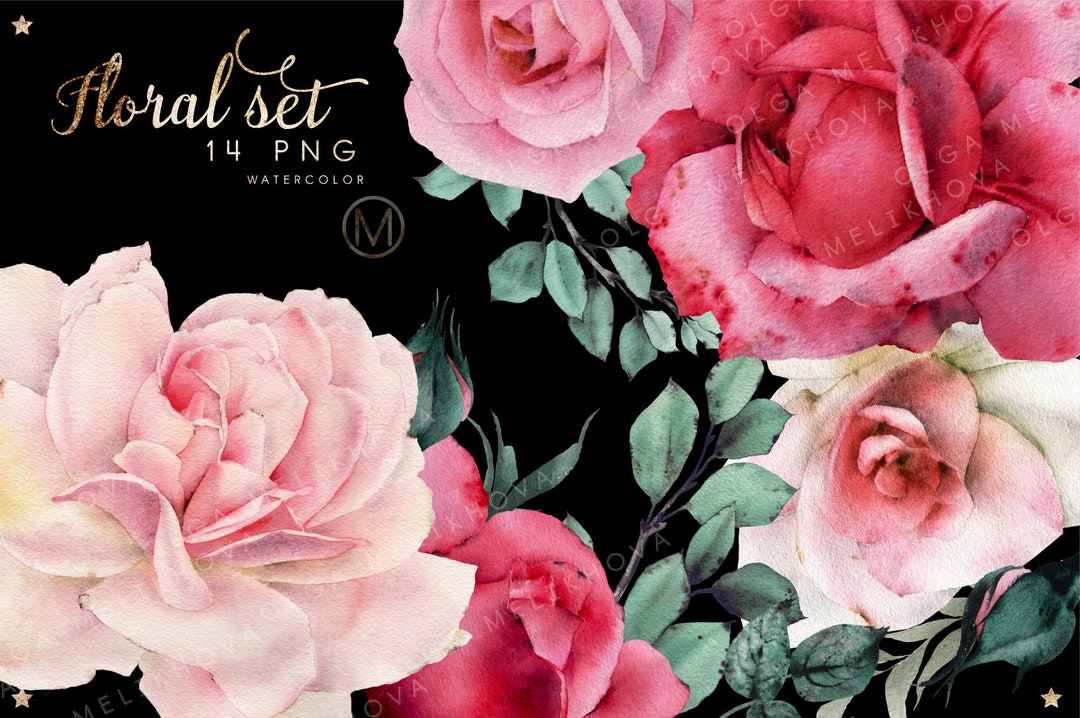 Watercolor Roses Flower Clipart PNG, Floral Watercolour Digital Instant ...