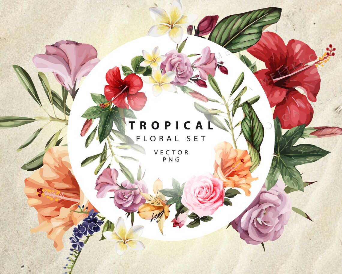 Tropical Floral Set Vector Illustration Flowers and Leaves - Etsy