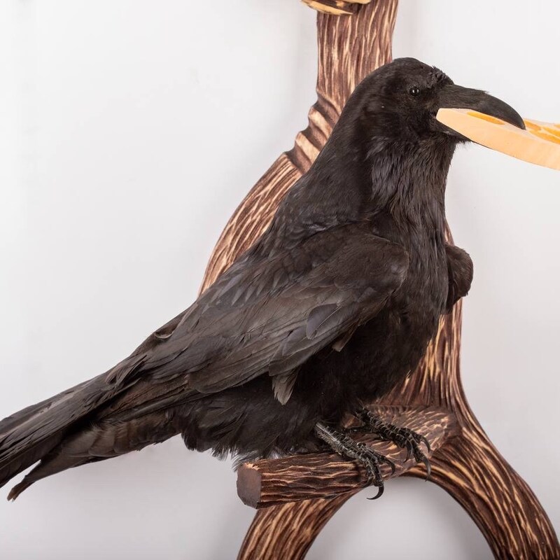 Stuffed Crow - Etsy