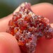 12 Gram Unique Deep Red Etched Spessartine Garnet and Muscovite From ...