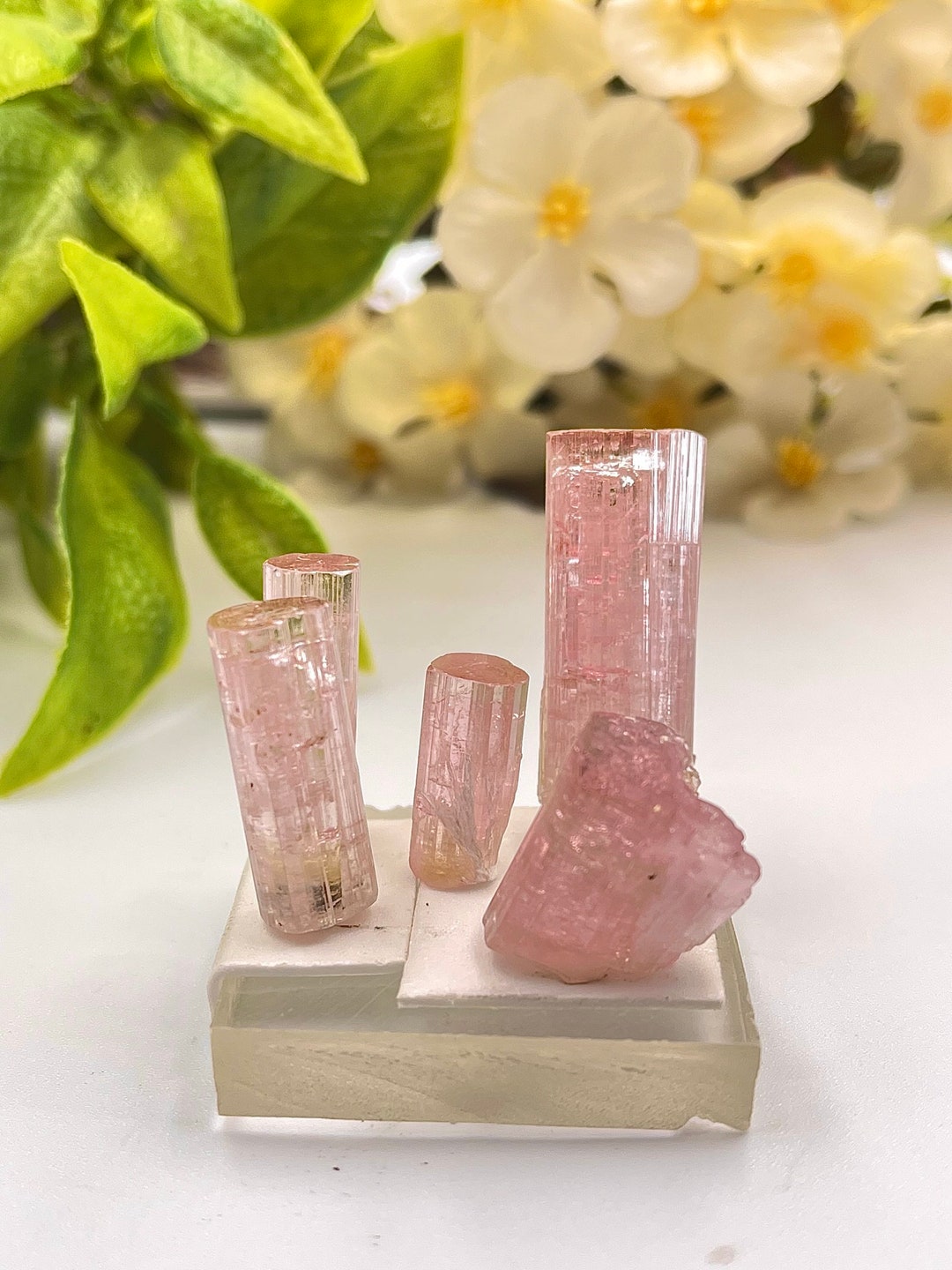 Perfect Termination of Elbaite / Pink Tourmaline Crystals From Nuristan ...