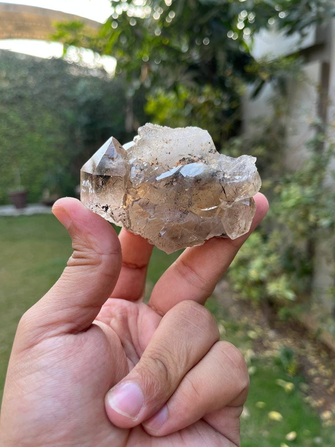 Rare Full Terminated Natural Astrophyllite & Riebeckite Needle Inside ...
