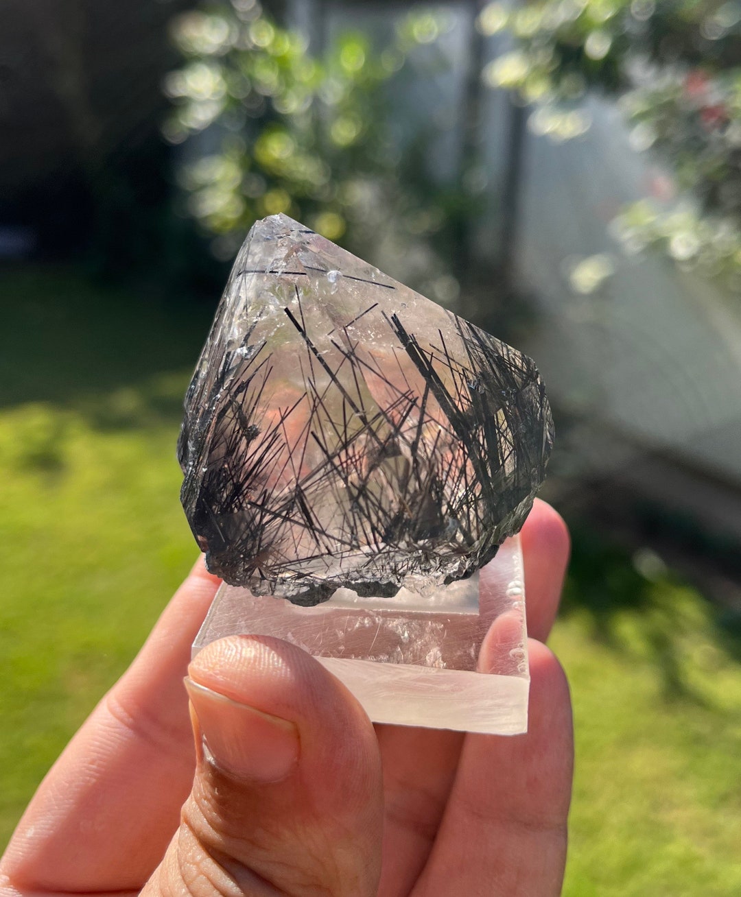 Beautiful Riebeckite Inclusions Inside Quartz From Zagi Mountain [head ...