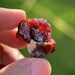 12 Gram Unique Deep Red Etched Spessartine Garnet and Muscovite From ...