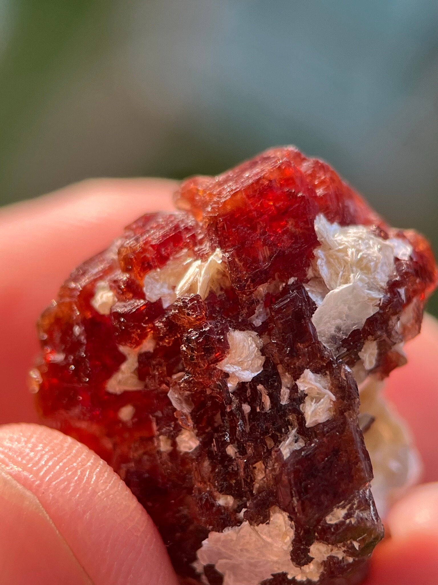 12 Gram Unique Deep Red Etched Spessartine Garnet and Muscovite From ...