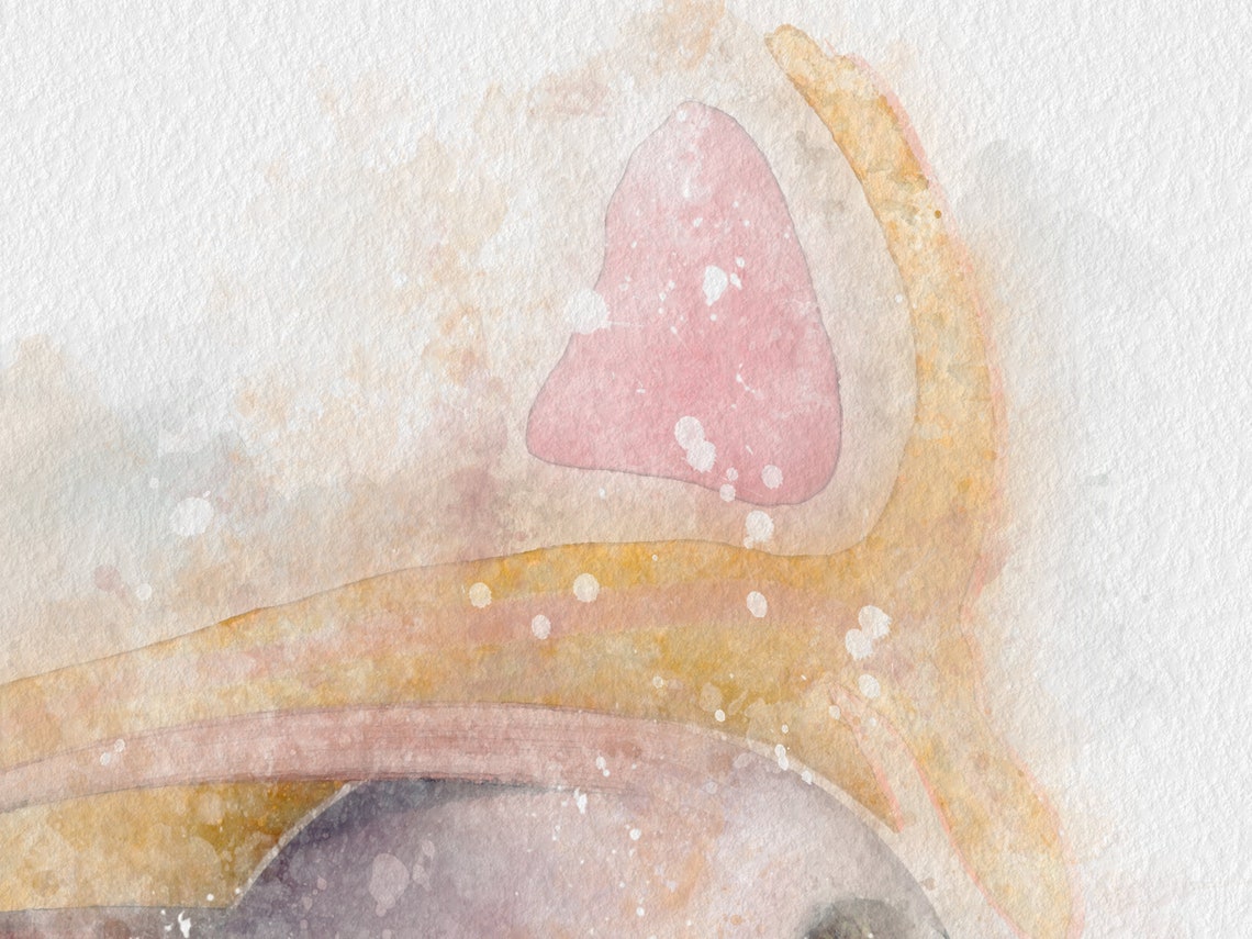 Eye Anatomy Art Print, Periorbital Cross-section Watercolor Style ...