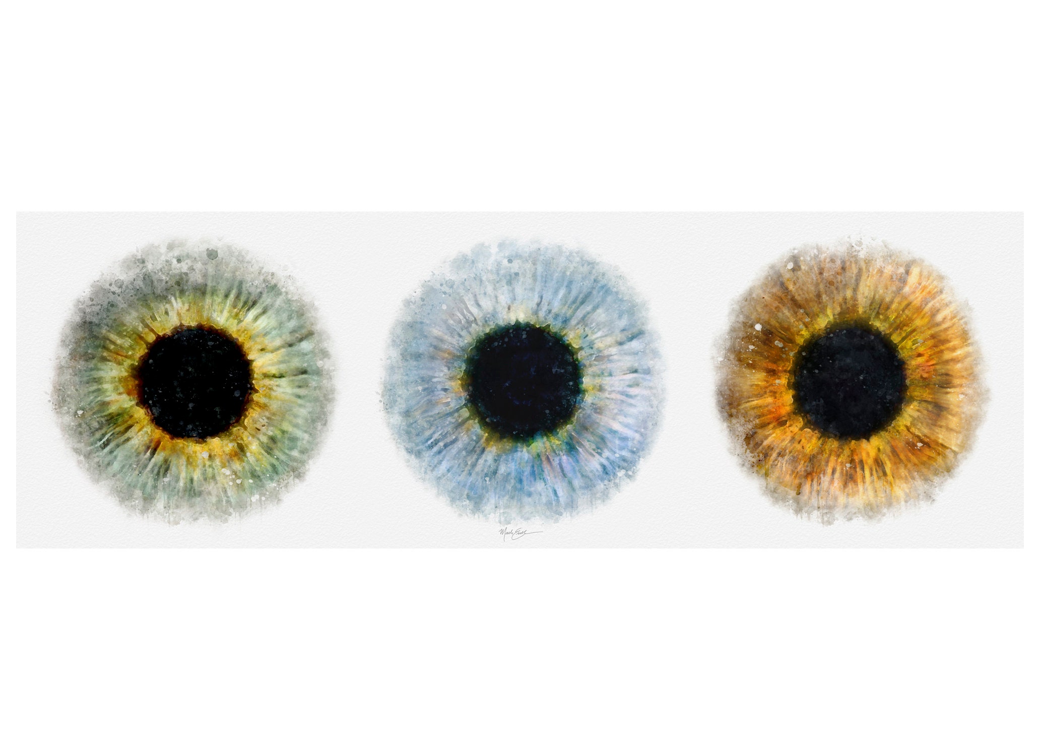 Eye Art Print Iris Art in Watercolor Style Wide Format | Etsy