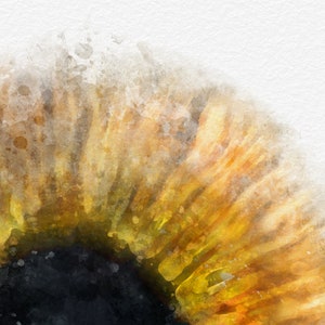 Eye Art Print Iris Art in Watercolor Style Wide Format Eye Doctor Art ...