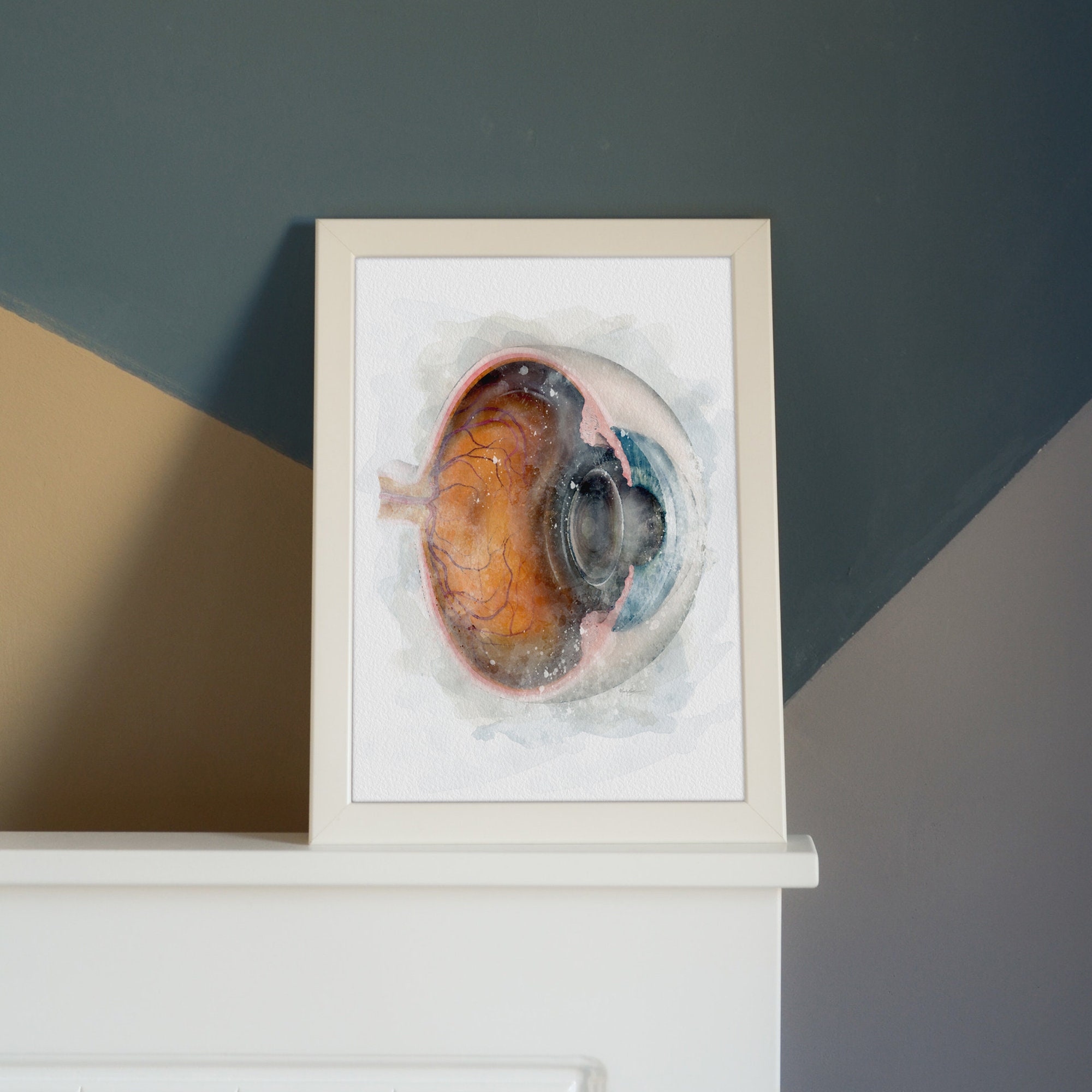 Optometry and Ophthalmology Wall Décor Art Gifts, 6 PACK of 5"x7" Hand ...