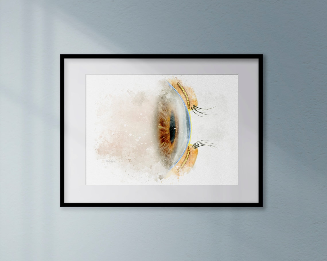 Eye Anatomy Art Print Eyelid Cross-section Watercolor Style | Etsy