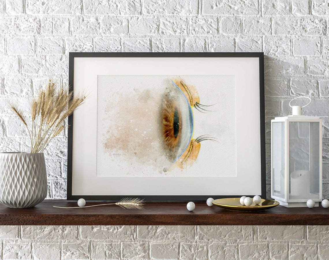 Eye Anatomy Art Print Eyelid Cross-section Watercolor Style - Etsy