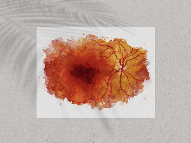 Retina Anatomy Art Download Printable, Watercolor Style Art DIGITAL ...