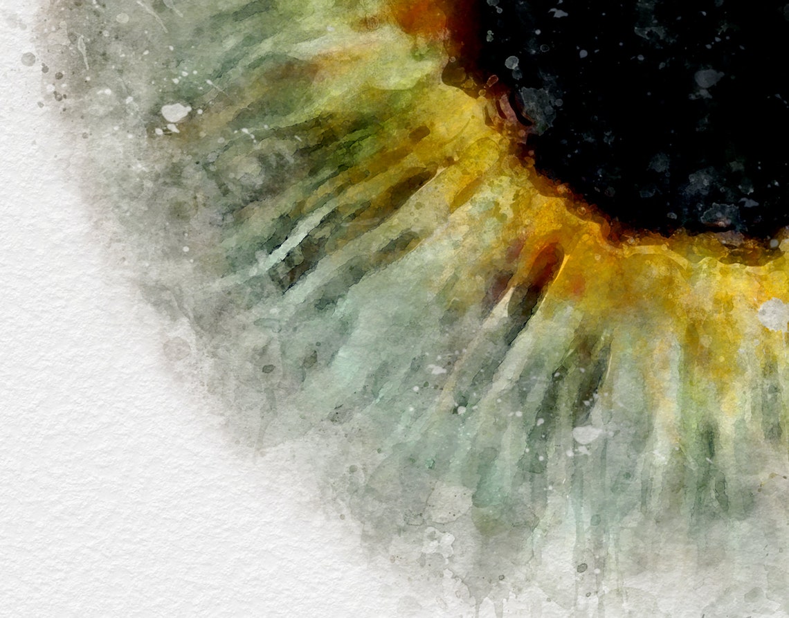 Eye Art Print Iris Art in Watercolor Style Wide Format | Etsy
