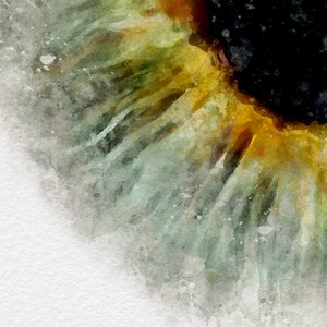Eye Art Print Iris Art in Watercolor Style Wide Format Eye Doctor Art ...
