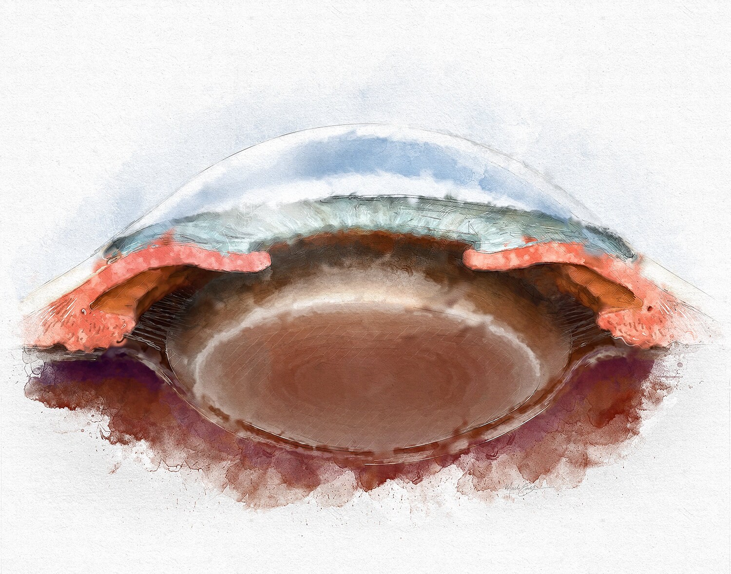 Optometry Gift Eye Art Print Anterior Chamber Cross-section - Etsy