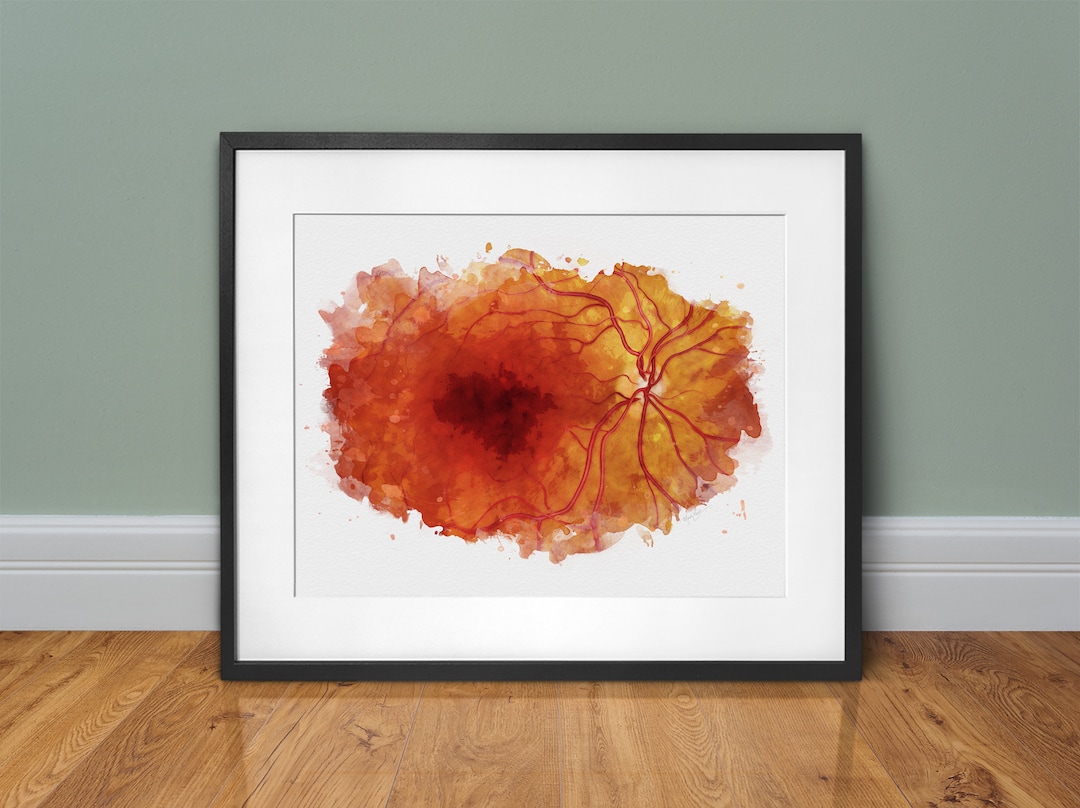 Retina Anatomy Art Download Printable, Watercolor Style Art DIGITAL ...
