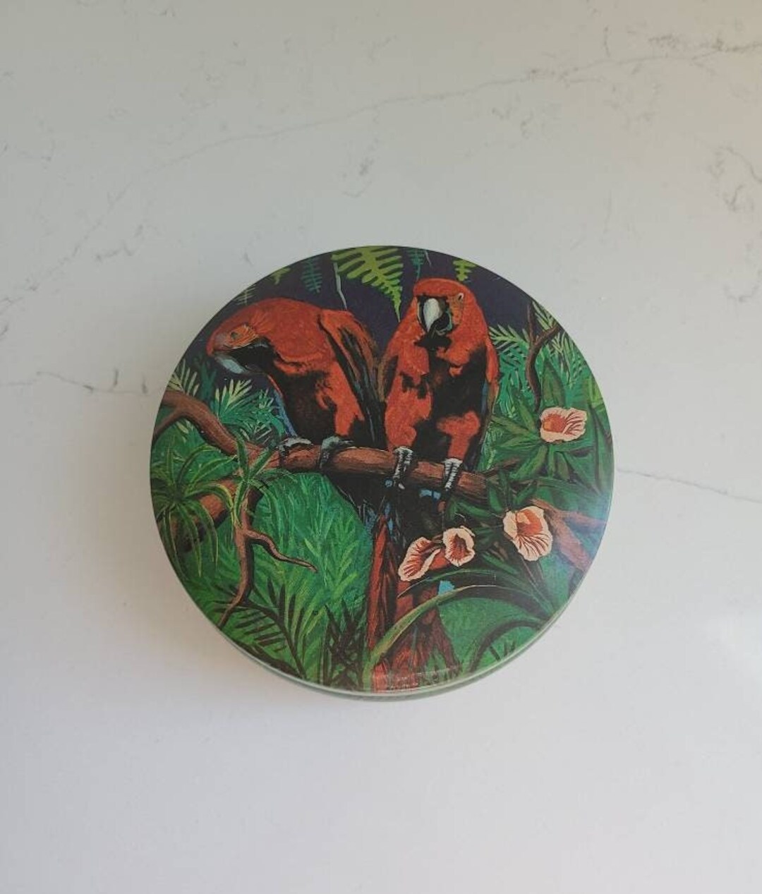 Vintage Meister Tin - Parrots in the Rainforest - Made in Brazil - Etsy
