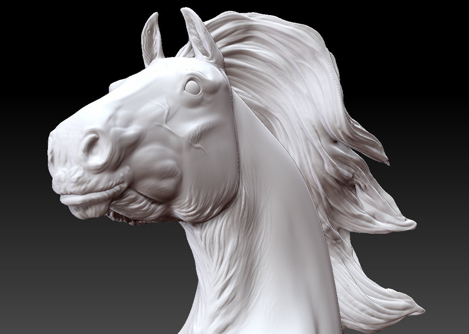 Exclusive Boudicca Shire Mare Artist Resin Model Horse - White Resin - Etsy