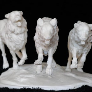 Artist Resins Pack of Arctic Wolves Wolf X 3 - White Resin Ready to ...