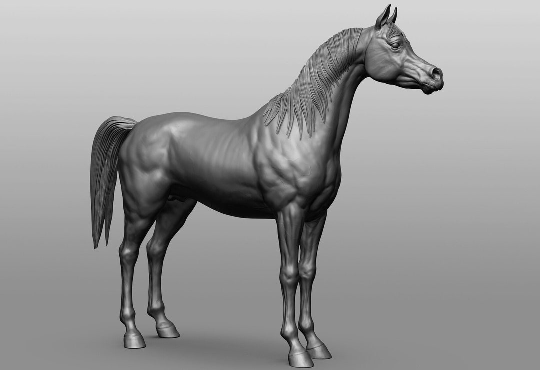 Standing Arabian - White Resin Ready to Prep / Paint LTD EDITION - Pre ...