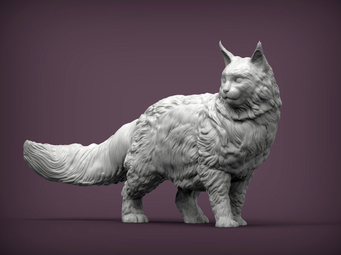 Maine Coone Cat - White Ready to Paint - Etsy