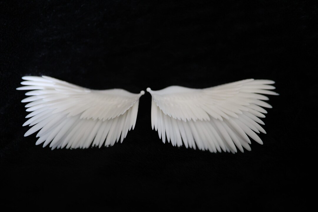 1 X Pair of White Resin Wings for Model Horse Custom Suitable for ...