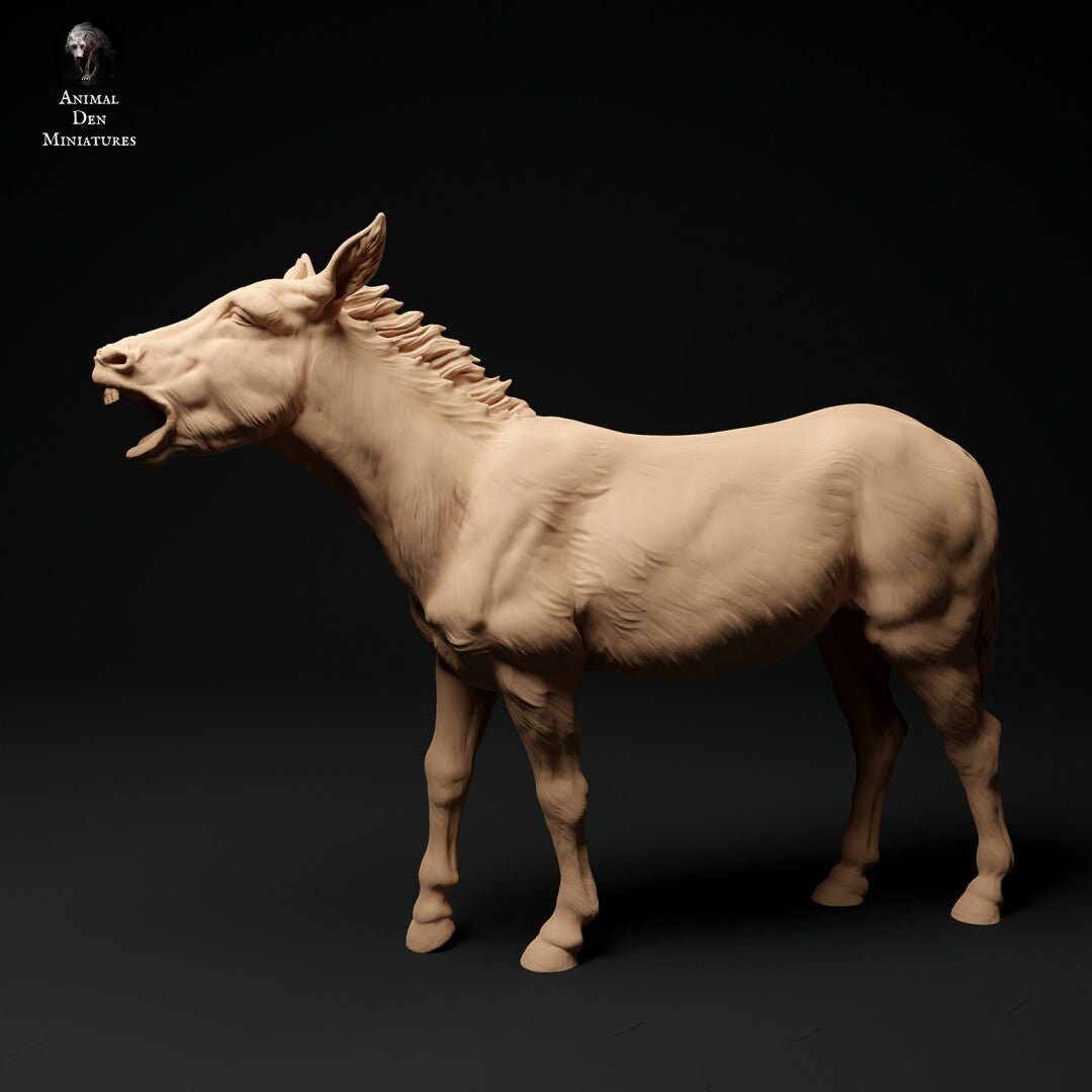 Common Donkey Braying - White Resin - Ready to Prep / Paint - Many ...