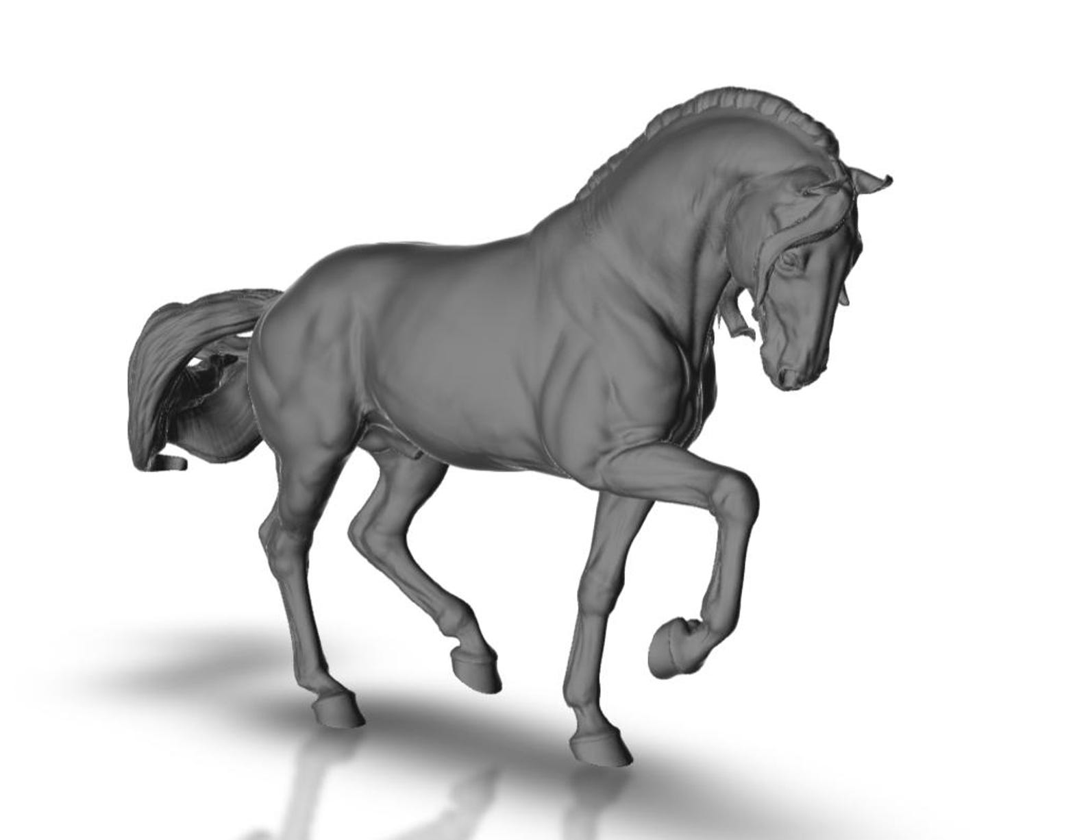 Andalusian Model Horse Artist Resin - White Resin Figurine - Unpainted ...