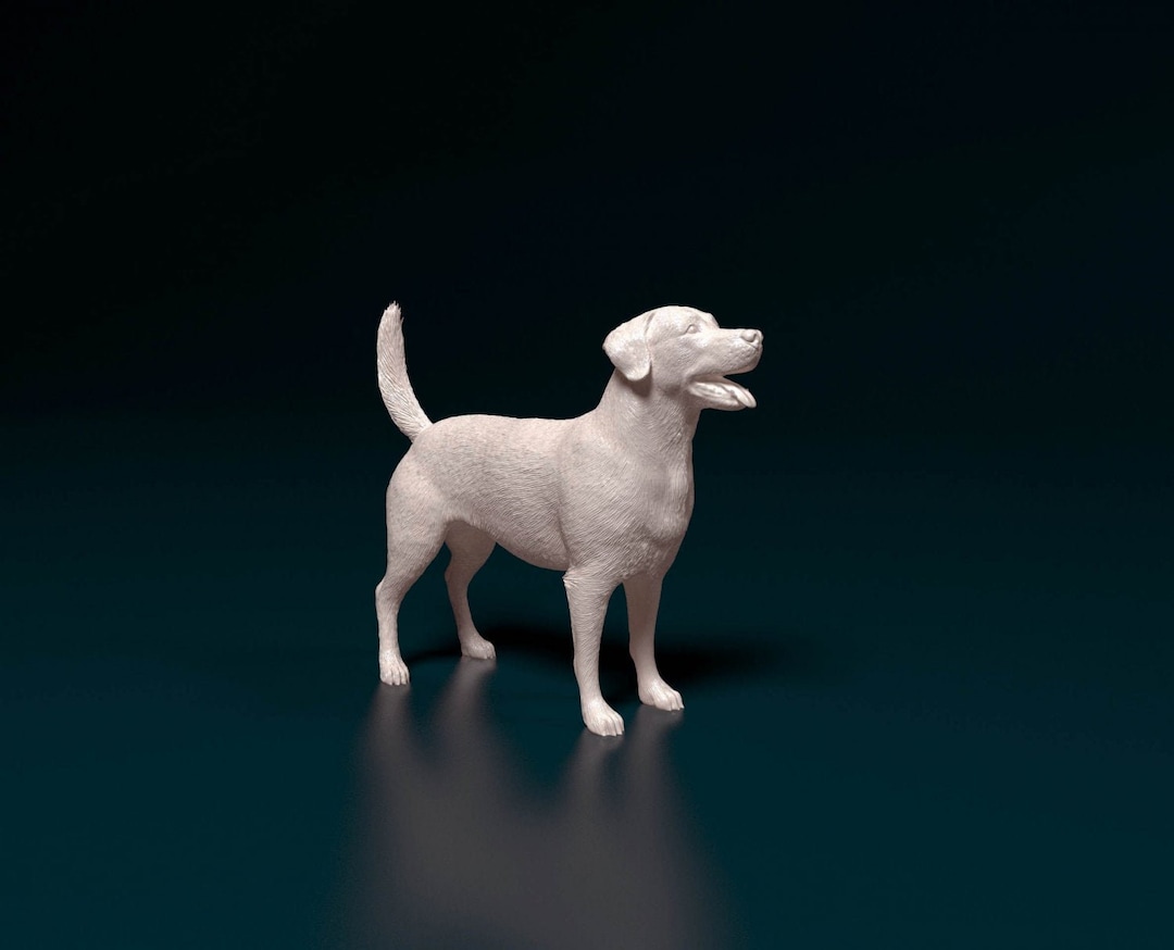 Labrador Artist Resin - White Resin Ready to Prep / Paint ALL SCALES - Etsy