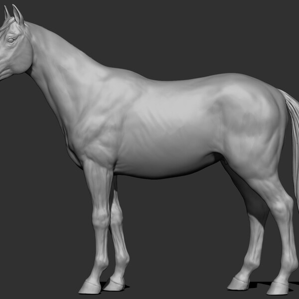 1 6 Scale Horse - Etsy UK