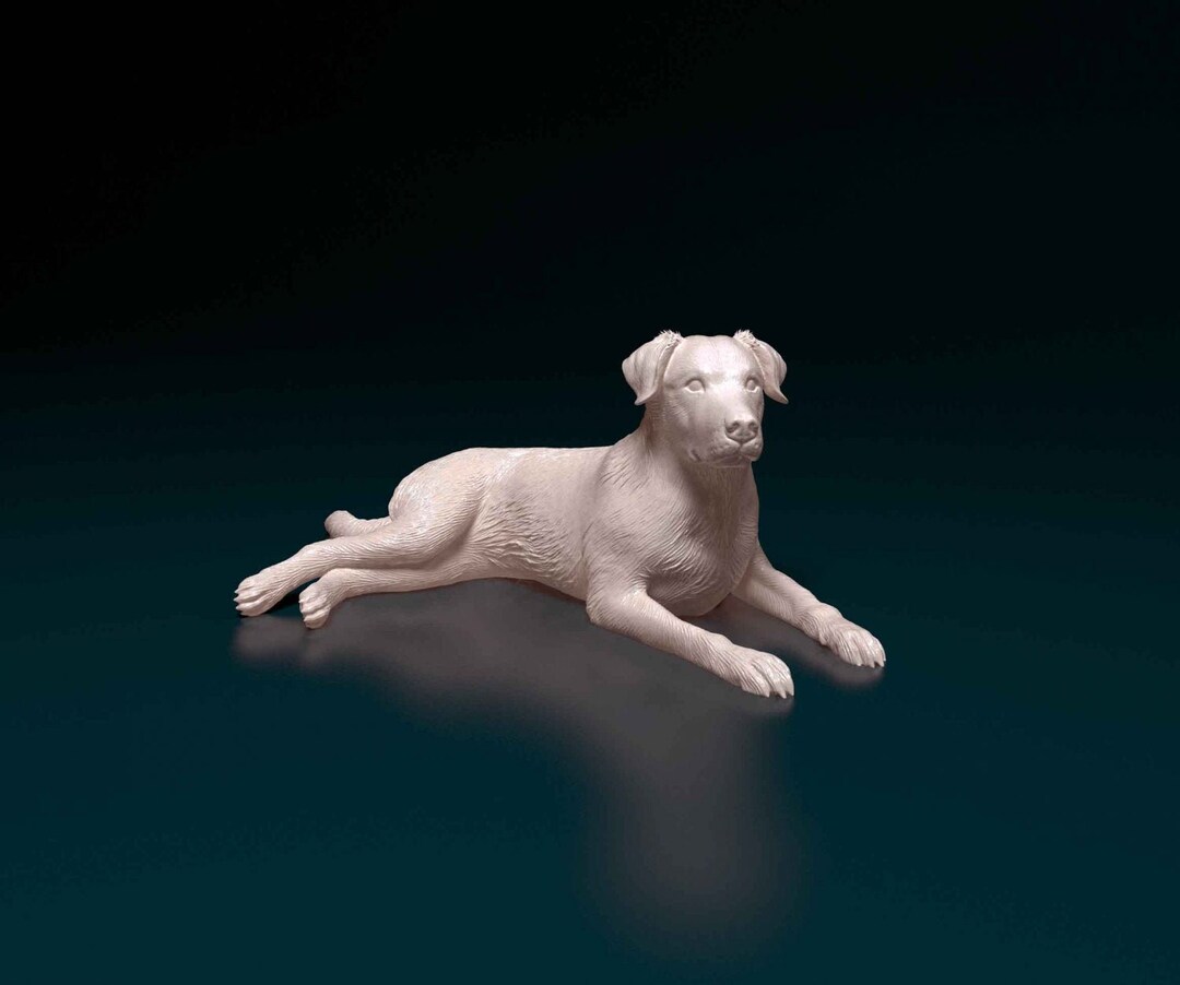 Labrador Artist Resin - White Resin Ready to Prep / Paint ALL SCALES ...