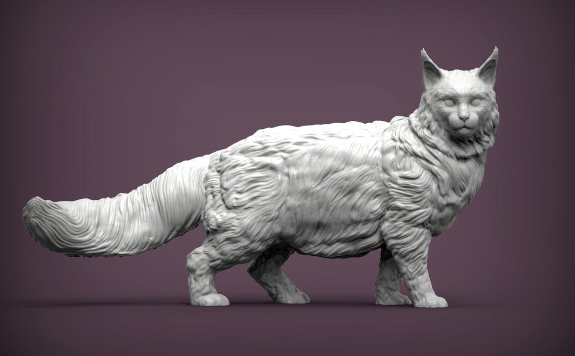 Maine Coone Cat - White Ready to Paint - Etsy