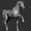 Warmblood Artist Resin Model Horse Figurine Unpainted 1/9 Traditional ...