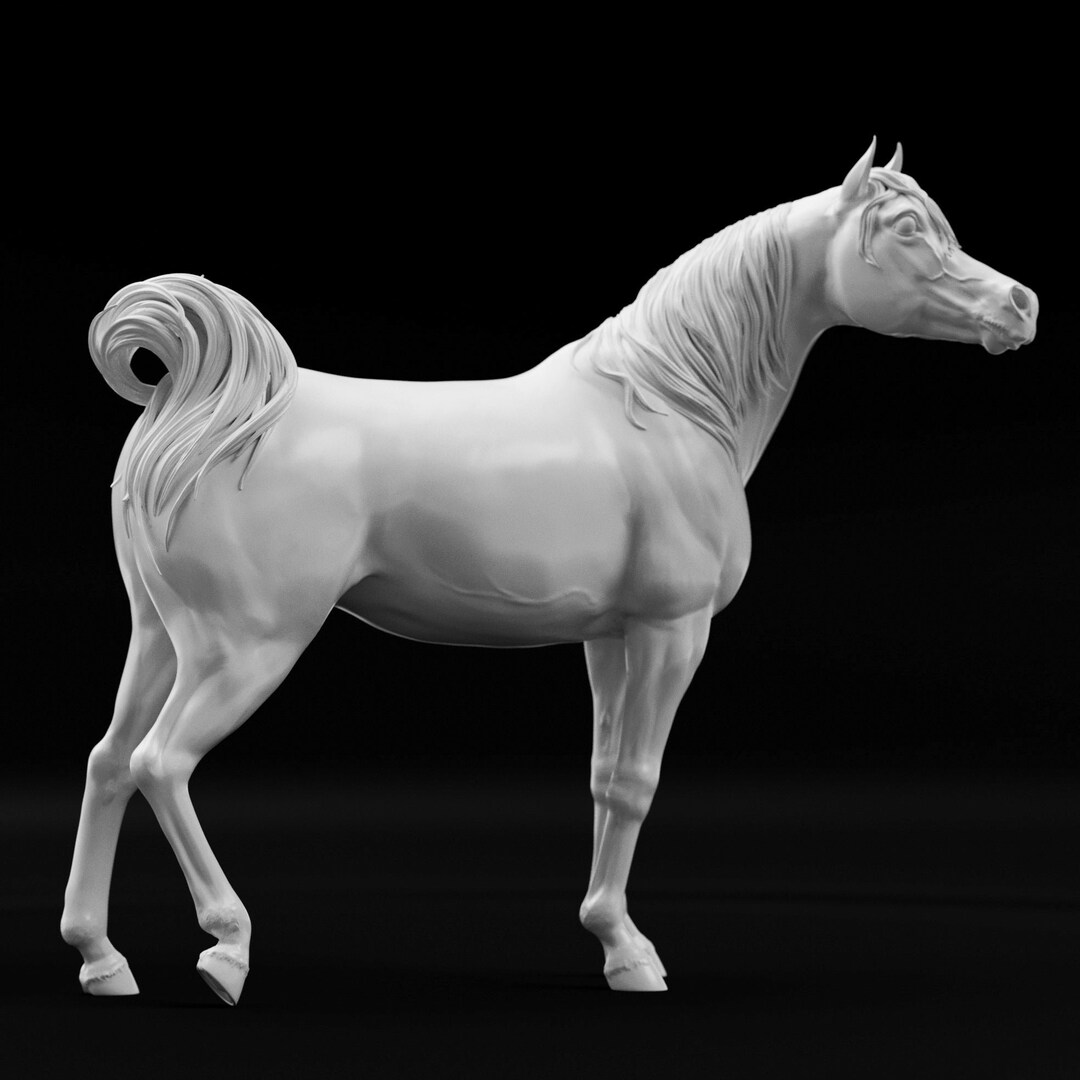 Conner Relaxed Arabian Stallion HFH Exclusive - White Resin Ready to ...