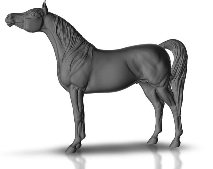 Rearing Arabian Stallion - Unpainted 3D Printed Resin Model Horse ...