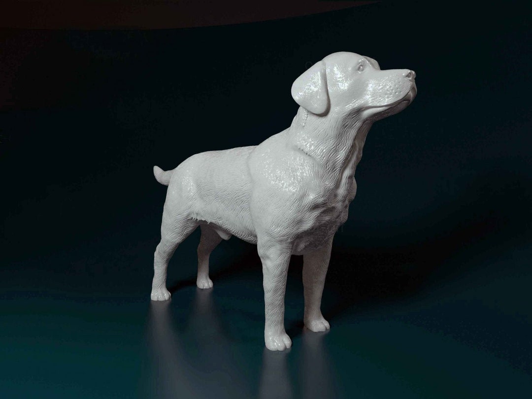 Labrador Artist Resin - White Resin Ready to Prep / Paint ALL SCALES ...