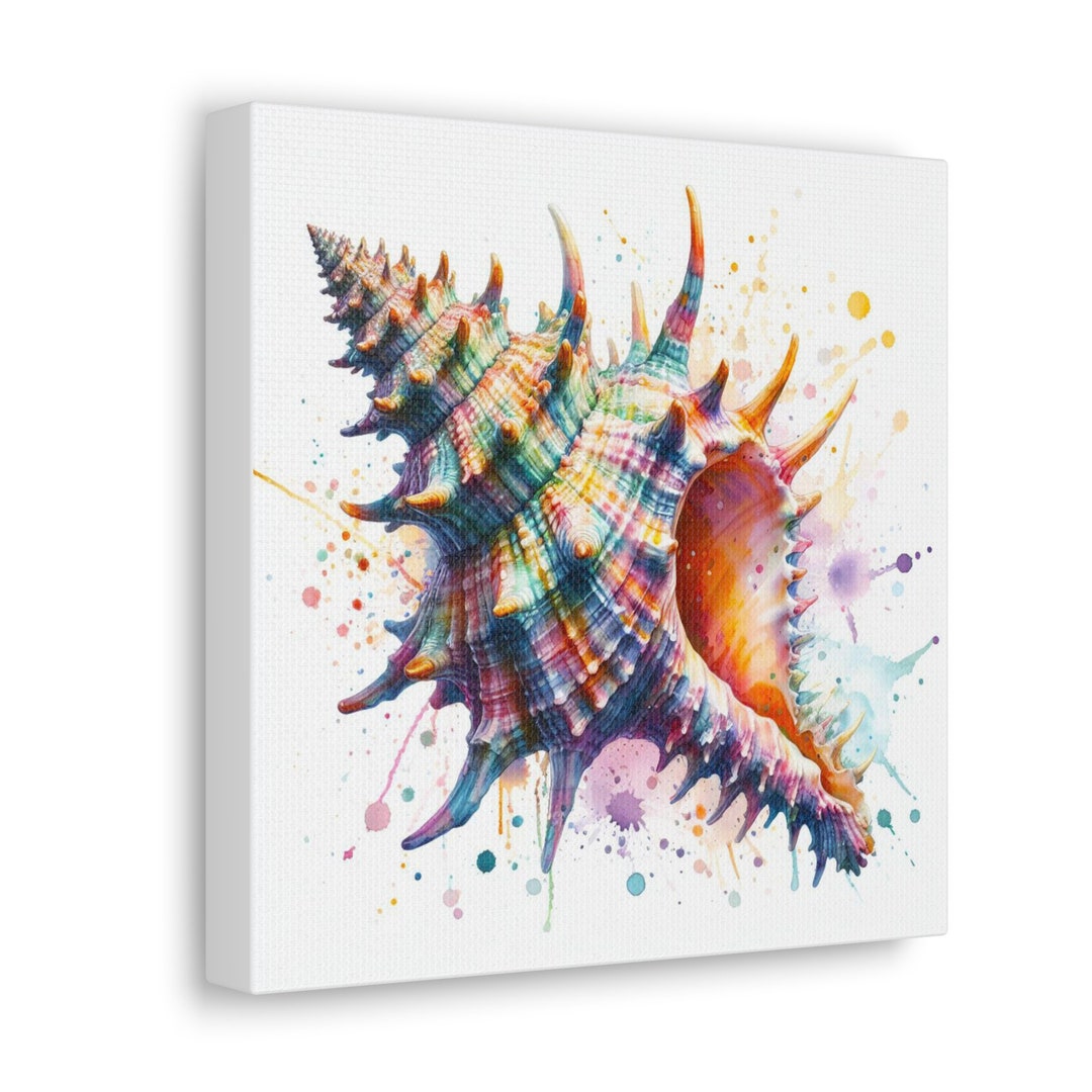 Cabrit Murex Vokesimurex Sea Shell Canvas 2 of 4 - Etsy