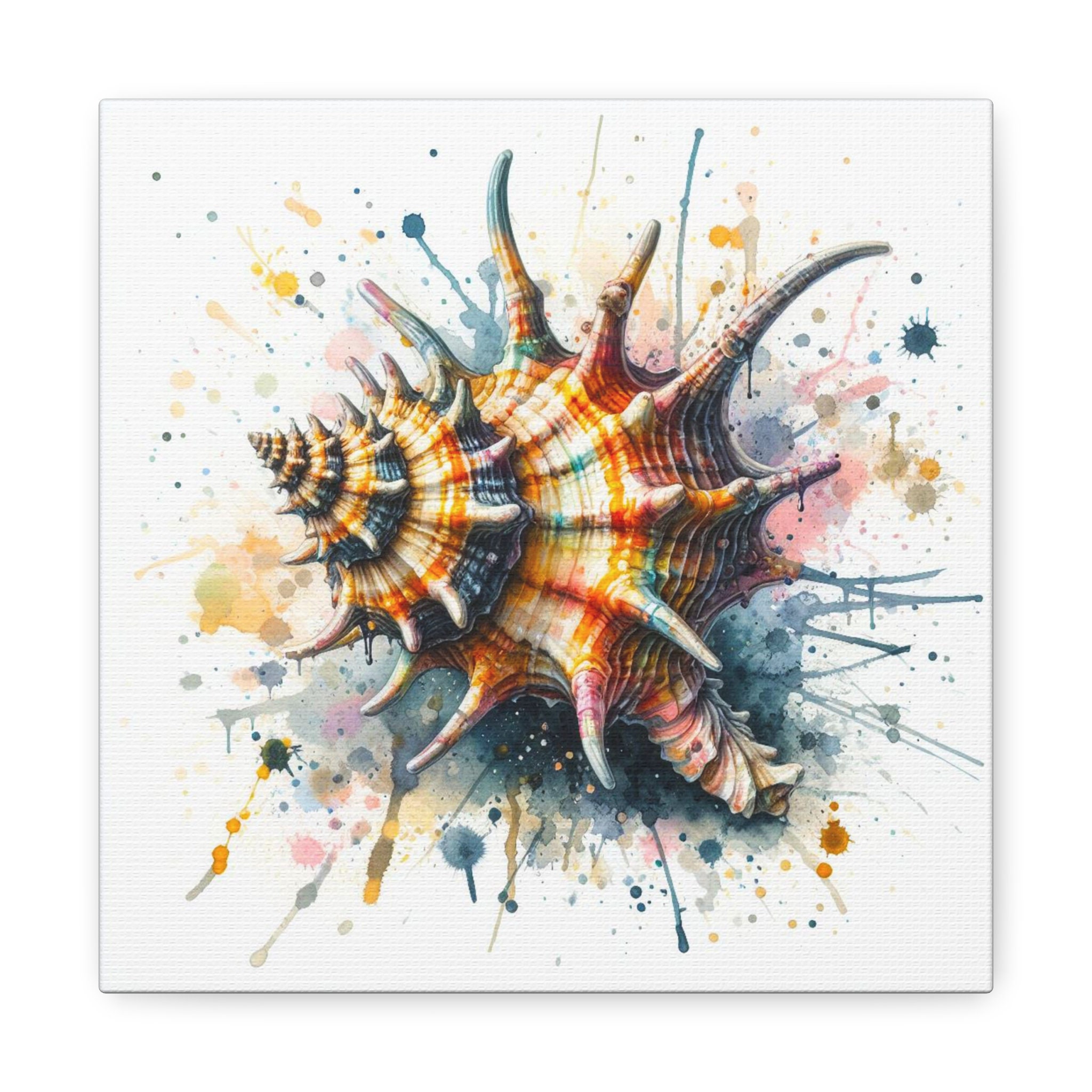 Cabrit Murex Vokesimurex Sea Shell Canvas Wraps 3 of Four - Etsy