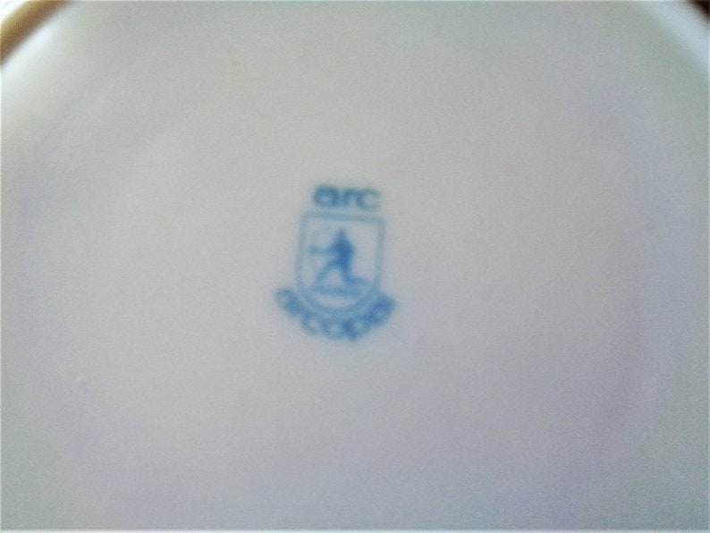 French Arcopal Dinnerware Set of 6 Arc Arcopal France Milk - Etsy