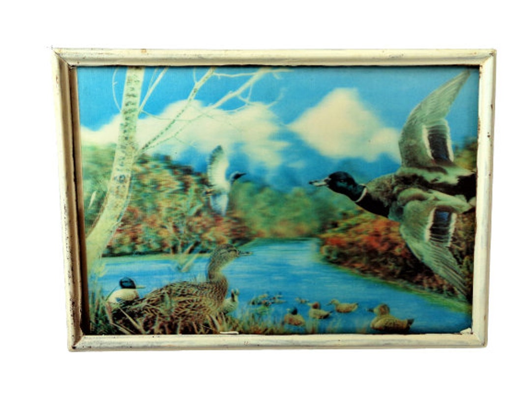 Vintage Wild Ducks, 3D Lenticular Postcard, Toppan Stereo, Moving ...