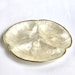 Vintage Capiz Shell Plate, Brass Trim, Seafood Serving Dish, Divided ...