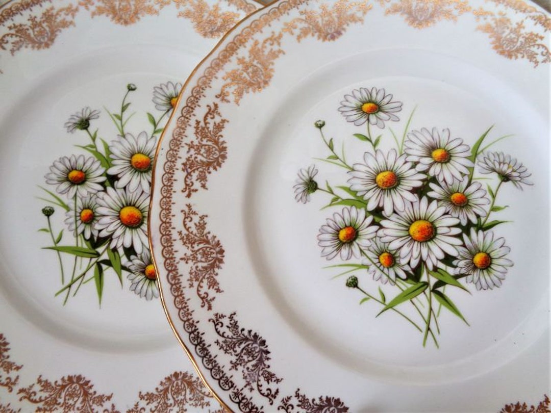 Vintage Bone China Dinner Plate, Daisy Pattern, Gainsborough England ...