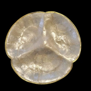 Vintage Capiz Shell Plate, Brass Trim, Seafood Serving Dish, Divided ...