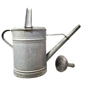 Galvanized Metal Watering Can 2.64 Gallons or 10L Long Spouted Water ...