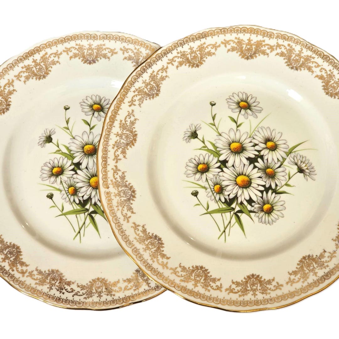Vintage Bone China Dinner Plate, Daisy Pattern, Gainsborough England ...
