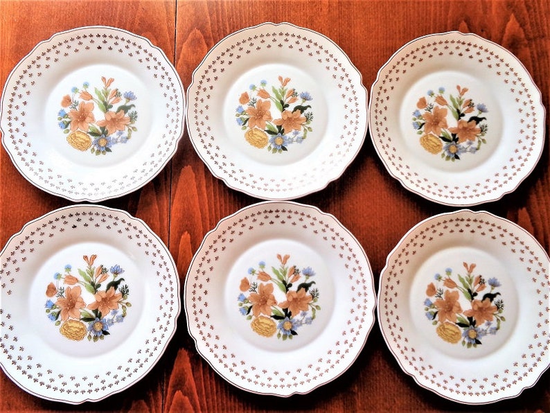 French Arcopal Dinnerware Set of 6 Arc Arcopal France Milk - Etsy