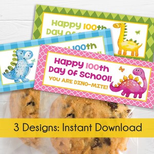 INSTANT DOWNLOAD / Dinosaurs Set of 3 Designs / Custom School Bag ...