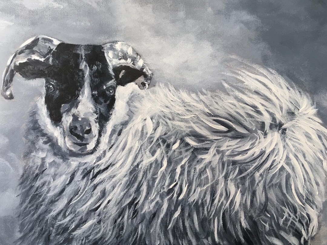 Windswept ORIGINAL Sheep Painting by British Artist - Etsy