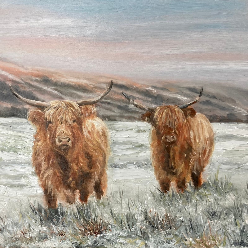 Highland Cow Paintings - Etsy